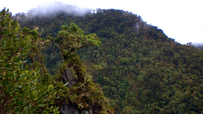 Panama National Parks & Wildlife Reserves